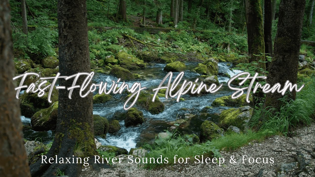 🌊 Fast-Flowing Alpine Stream | Relaxing Mountain River Sounds for Sleep ...