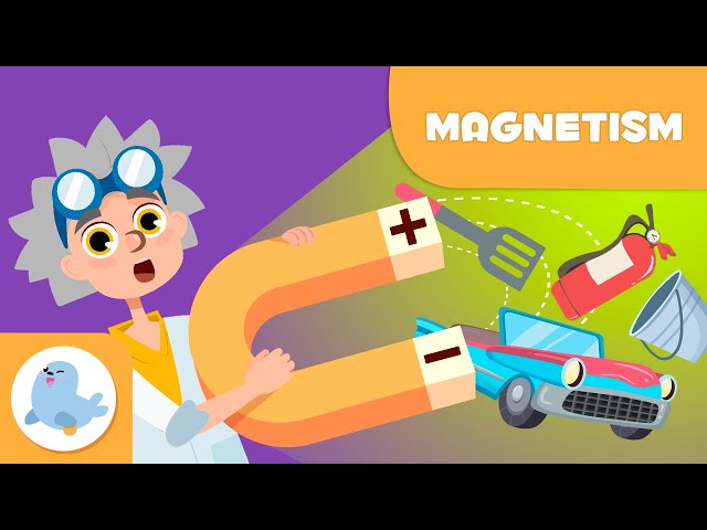 MAGNETISM for Kids What are Magnets? Science for Kids - Videos For Kids