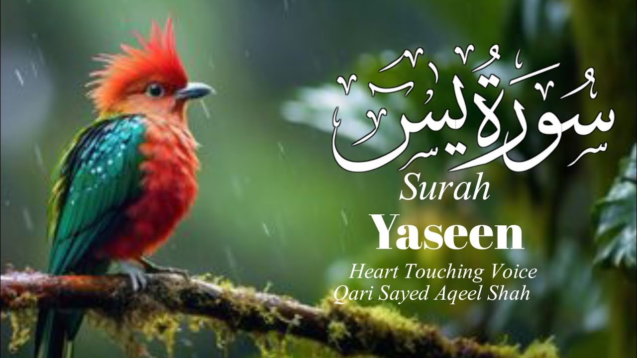 Surah Yaseen Yasin( سورت یس)|Relaxing Heart Touching Alluring Voice ...