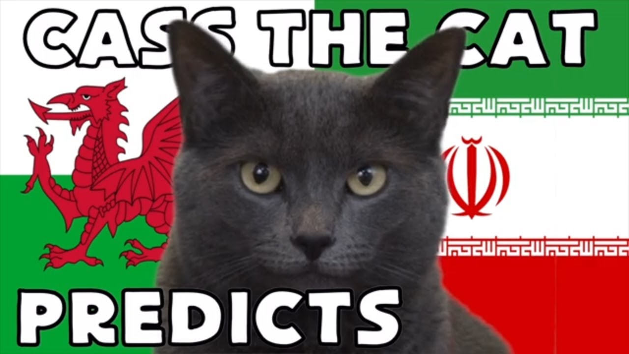 WALES 🆚 IRAN - CASS THE CAT PREDICTS - YouTube