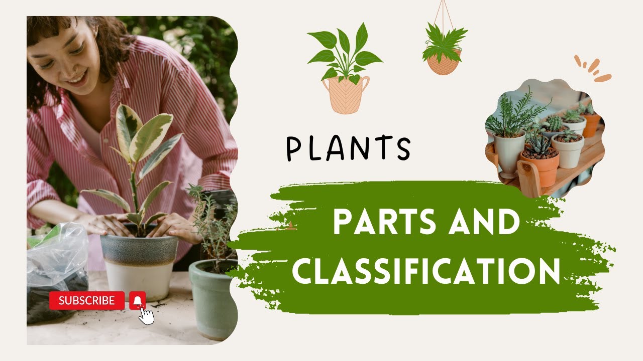 Parts of plants and their classification | SCIENCE FOR KIDS - YouTube