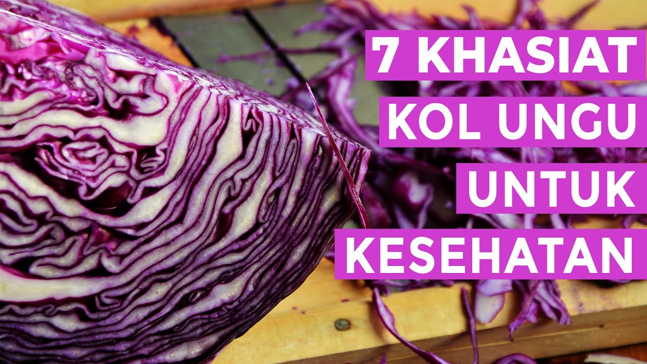 Tak Disangka 7 Manfaat Kol Ungu untuk Kesehatan - YouTube