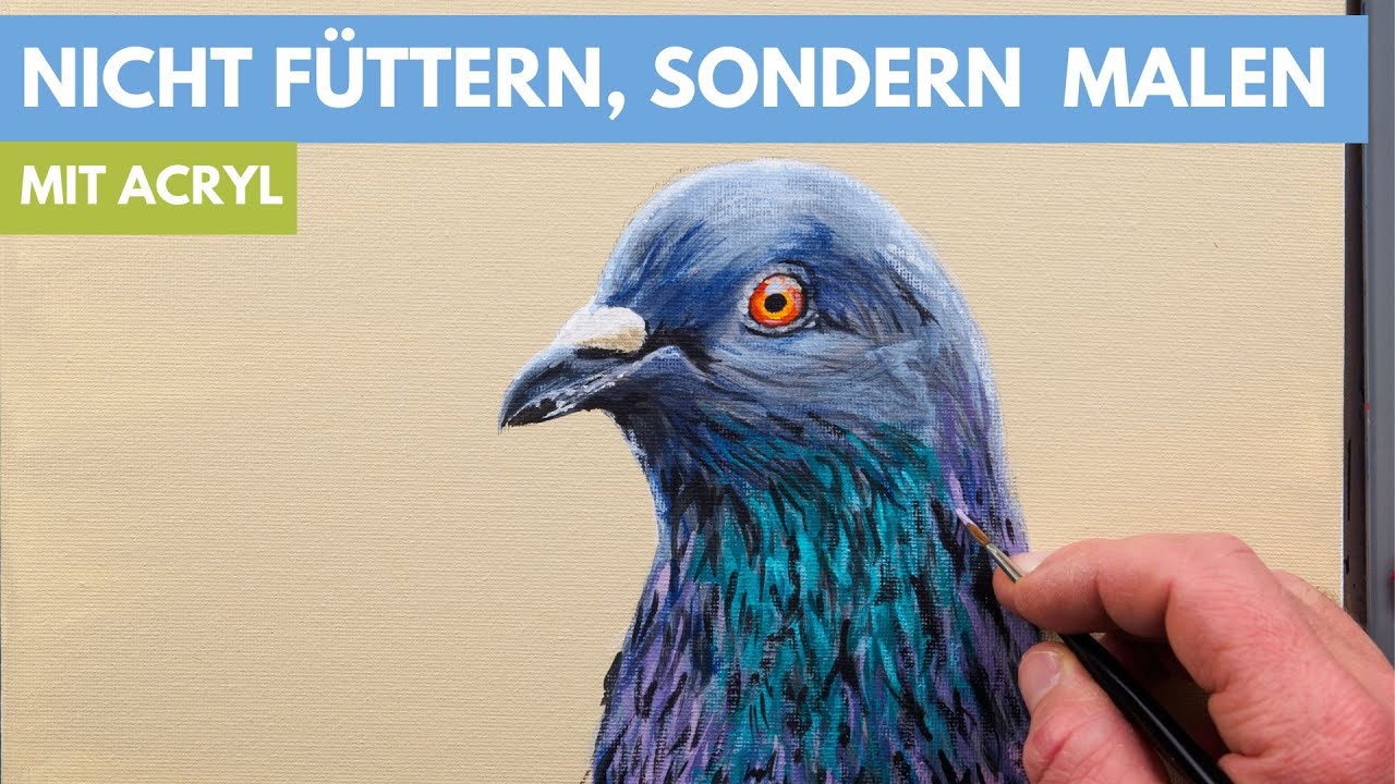 Taube malen mit Acryl - So einfach geht's - YouTube