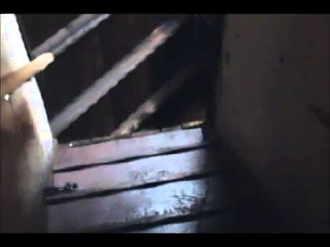 transonic pro pest chaser - YouTube