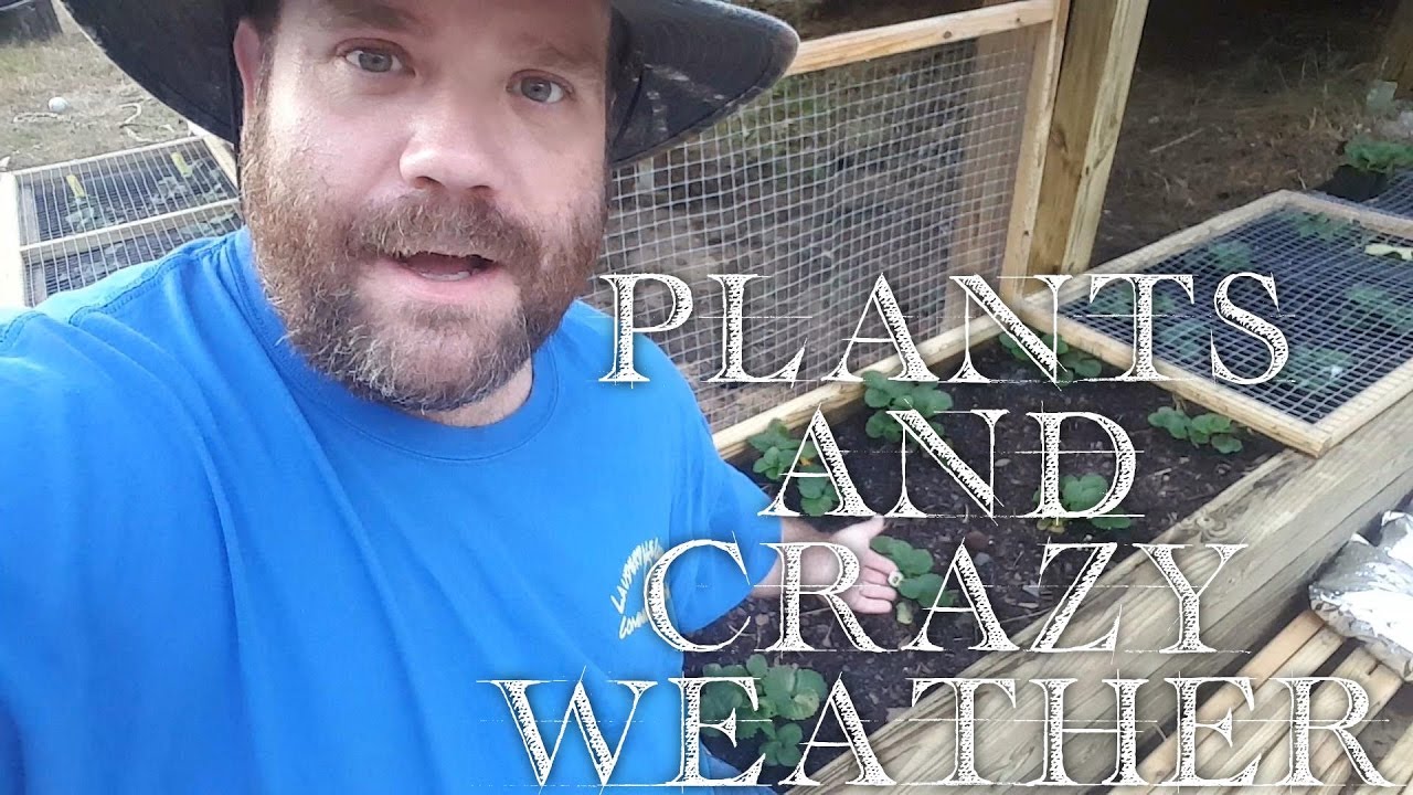 This CRAZY Weather - YouTube