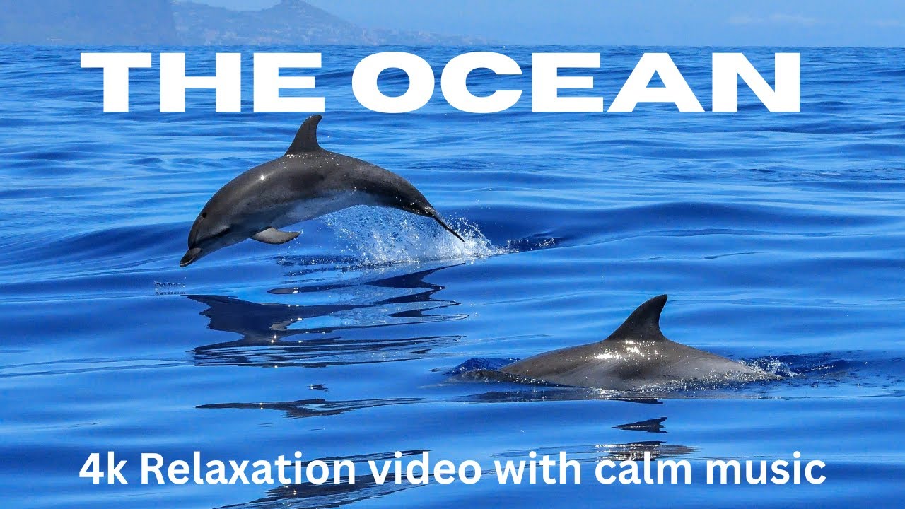 THE OCEAN 4K FISH RELAXATION VIDEO WITH CALMING MUSIC/FISH VIDEO # ...
