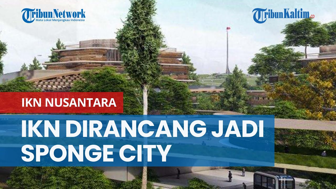 IKN Nusantara Dirancang Jadi Sponge City, Otorita Sampai Belajar ke ...