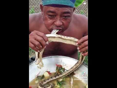 What!!! Meet a Snake Eating Man - YouTube