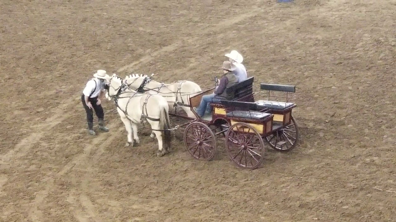 Jacob The Amish Weatherman At Bull Ride Mania Harrisburg Pa 11/17/2018 ...