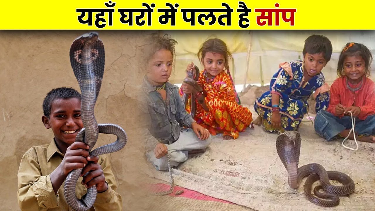 साँपो को पलने वाला भारत का एक गांव सेतपाल और सांपो का रहस्य | Shetphal ...
