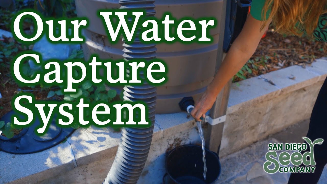 Going Off-Grid by Harvesting Rainwater with a Rain Collection System ...