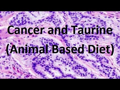Cancer and Taurine (Animal Based Diet) - YouTube