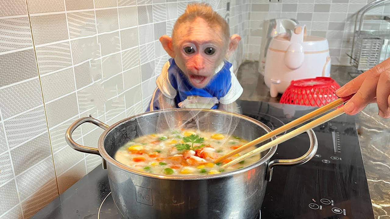 Monkey Cubis excited and hungry for Dad's delicious carrot soup - YouTube