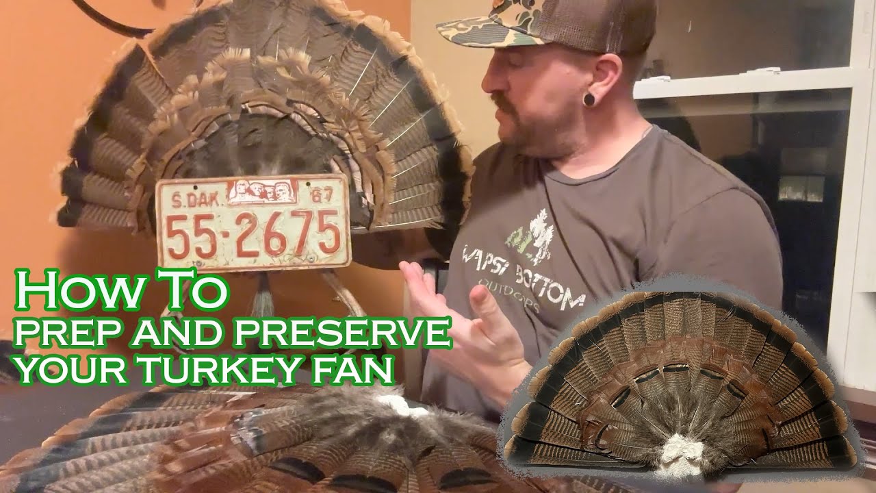 How To Prep and Preserve a Turkey Fan - YouTube