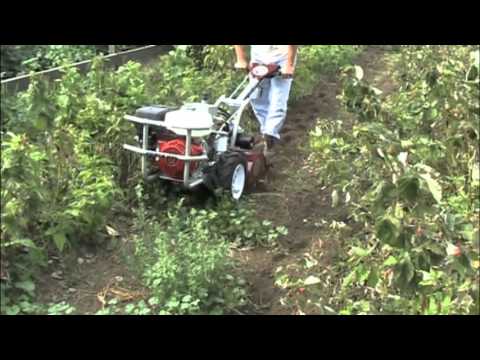 Power Dog Commercial Grade Tiller - YouTube