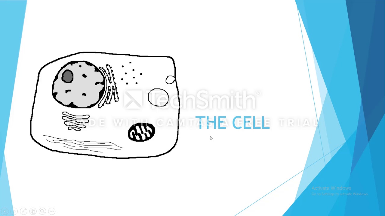 Reversible Cell Injury and overview of cell injury and cell death - YouTube