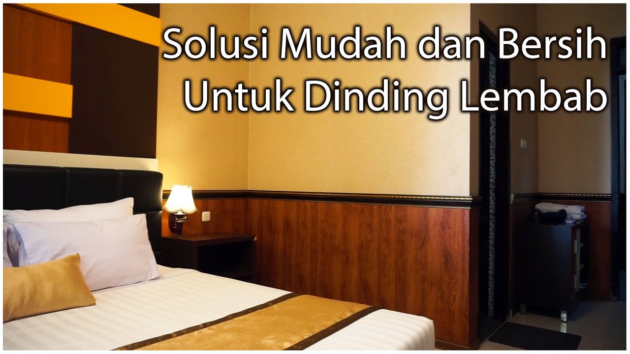 Mengatasi Tembok Lembab dan Berjamur dengan Mudah Menggunakan Vinyl ...