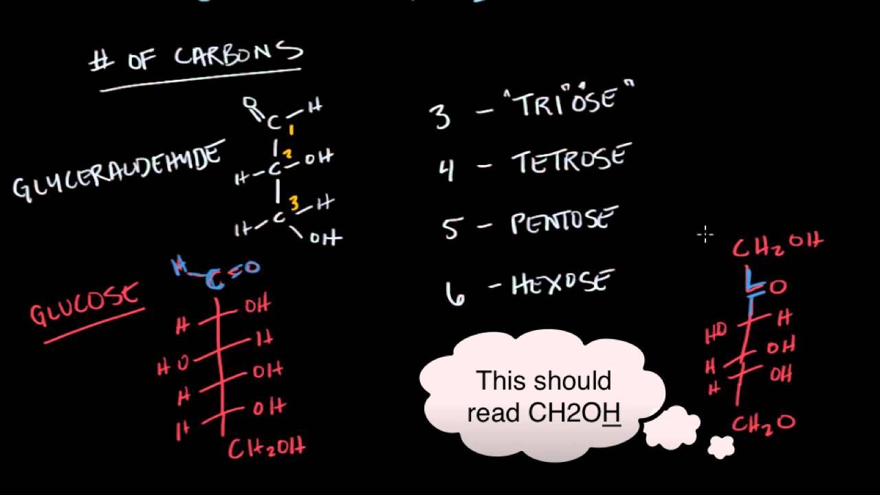 Carbohydrates- naming and classification - YouTube