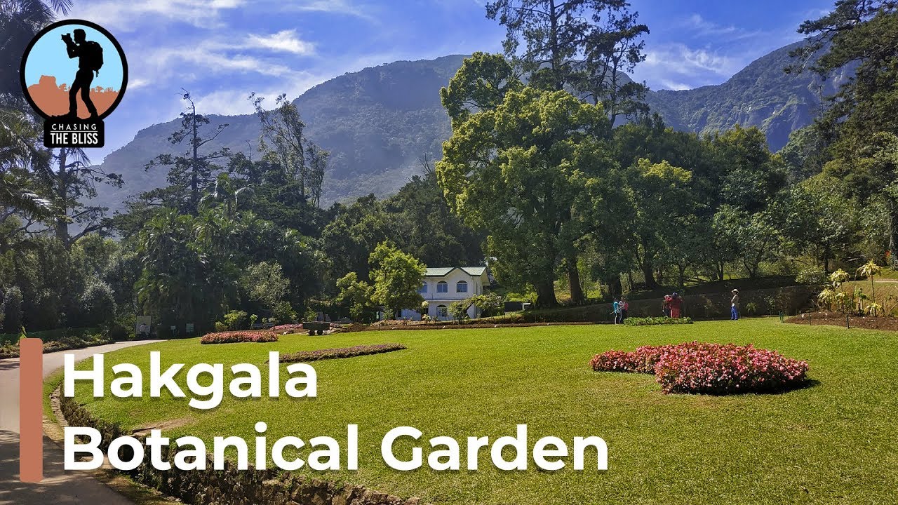 Hakgala Botanical Garden in Sri Lanka - YouTube