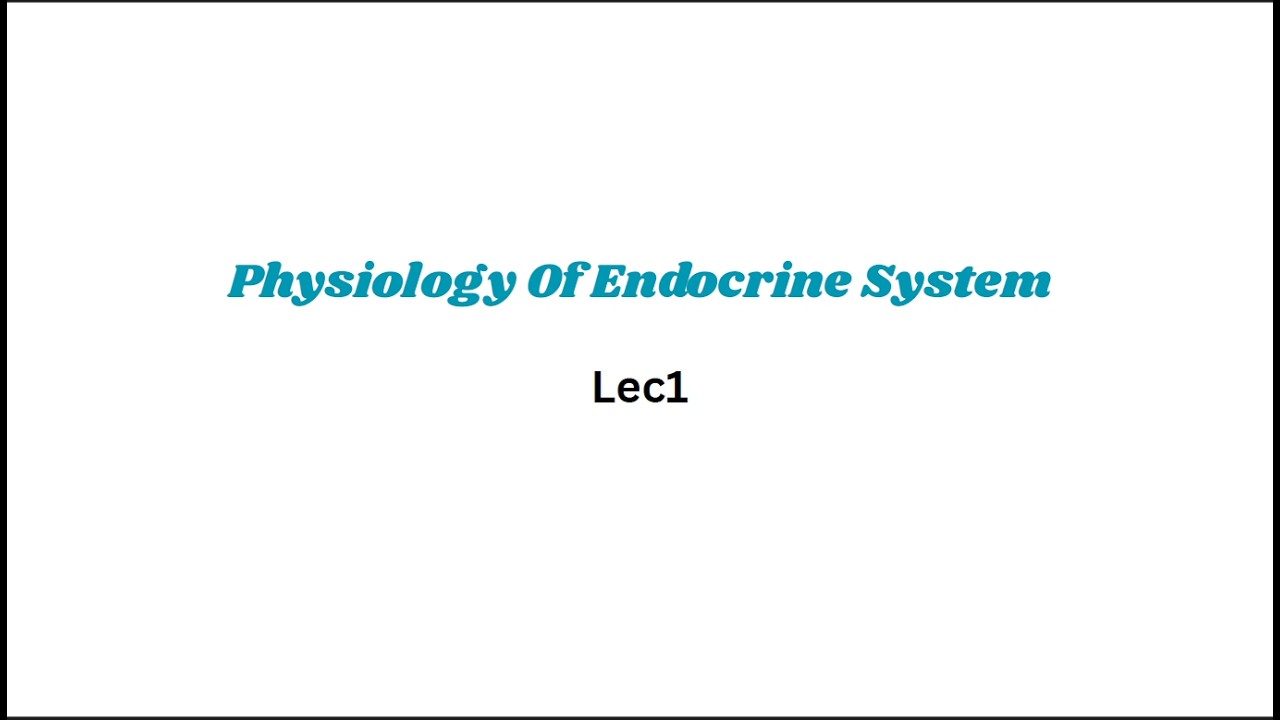 Lec1 Physiology Of Endocrine System Dr Joee - YouTube