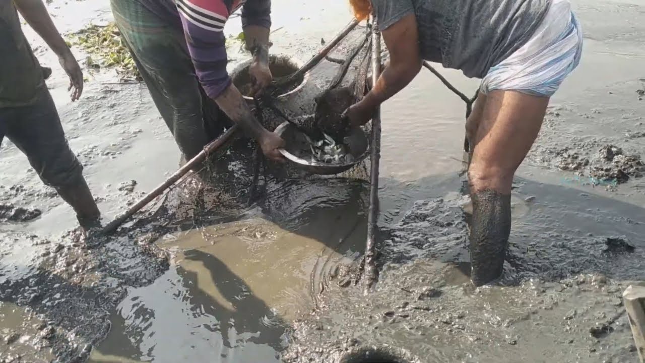 Amazing Best Hand And Net Fishing - Catching Catfish In Hole Mud Water ...