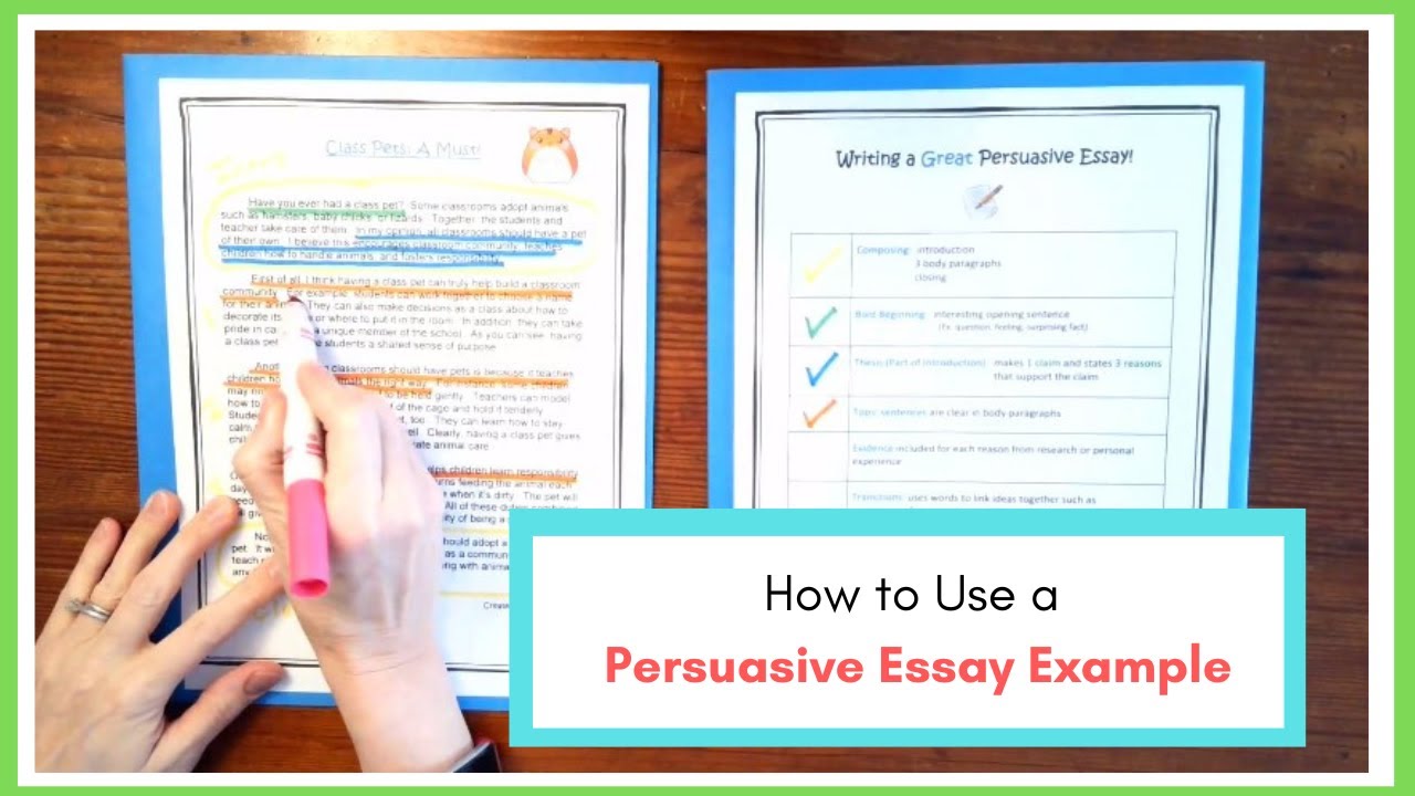 How to Use a Persuasive Essay Example - YouTube