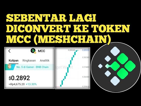 MESHCHAIN update Poin Segera dikonvert ke token MCC | 1 akun 1 orang ...