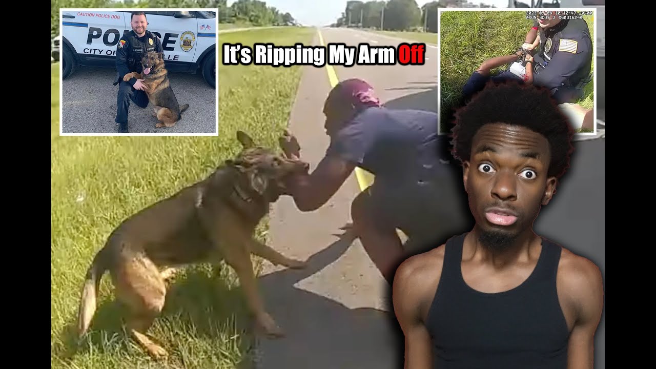*Reaction*When Police Lose Control of their K9!!!! - YouTube