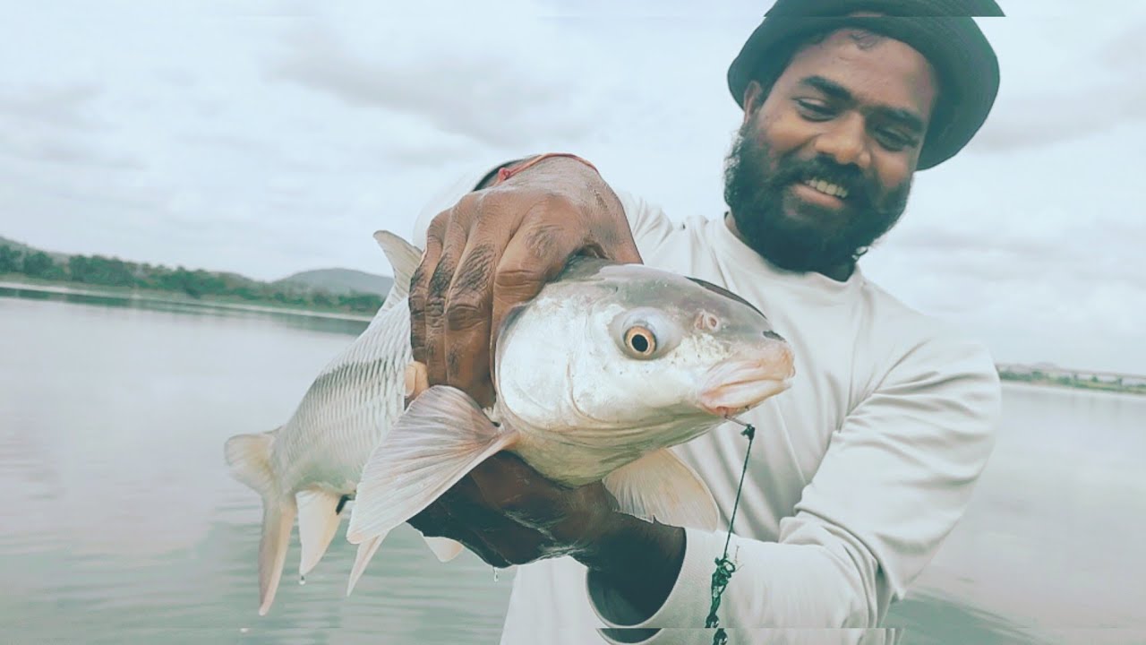 #RahuFishing||unbelievable-Rahu-fish-catching||Gucha gall and feeder ...
