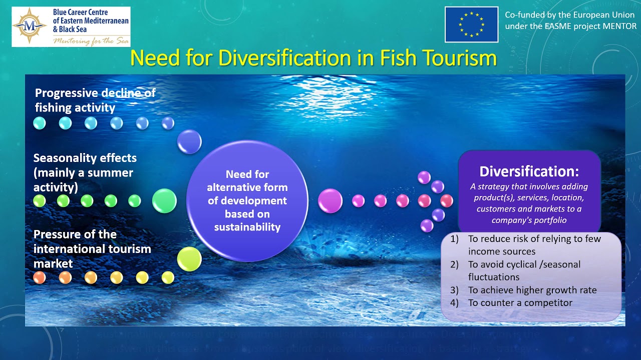 5. Fish Tourism e-course - YouTube