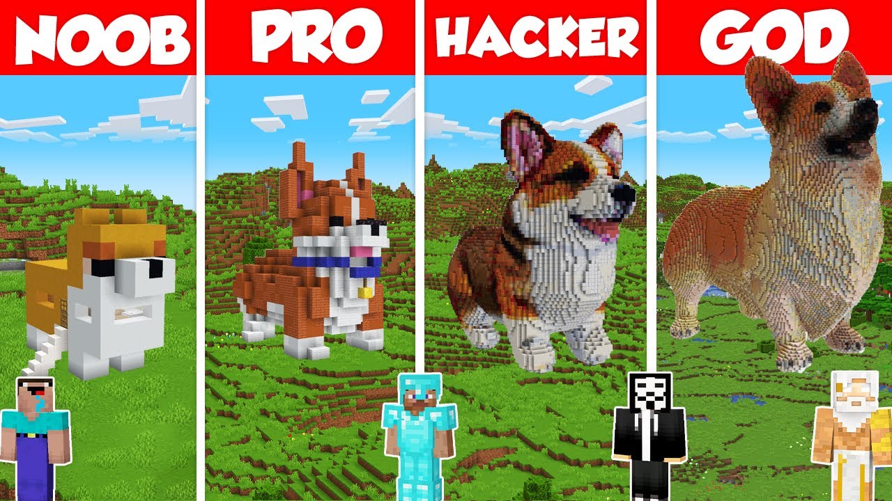 Welsh Corgi Build Battle Challenge - Noob vs Pro vs Hacker vs God ...