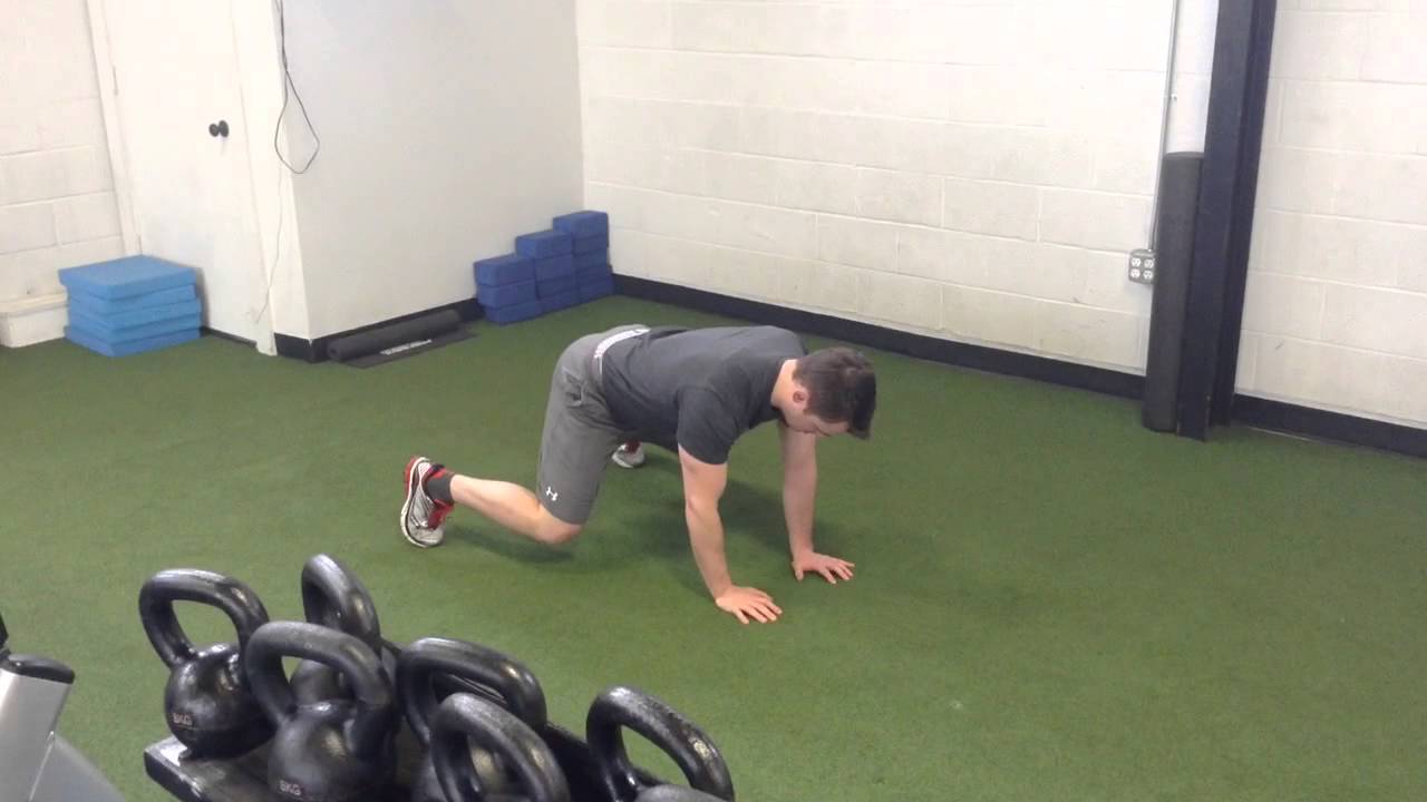 Quadruped Shoulder Taps - YouTube