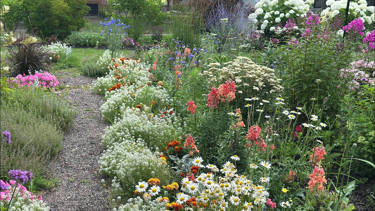 Garden Tour end of July 2025🌸 Cottage Garden in zone 4a - YouTube