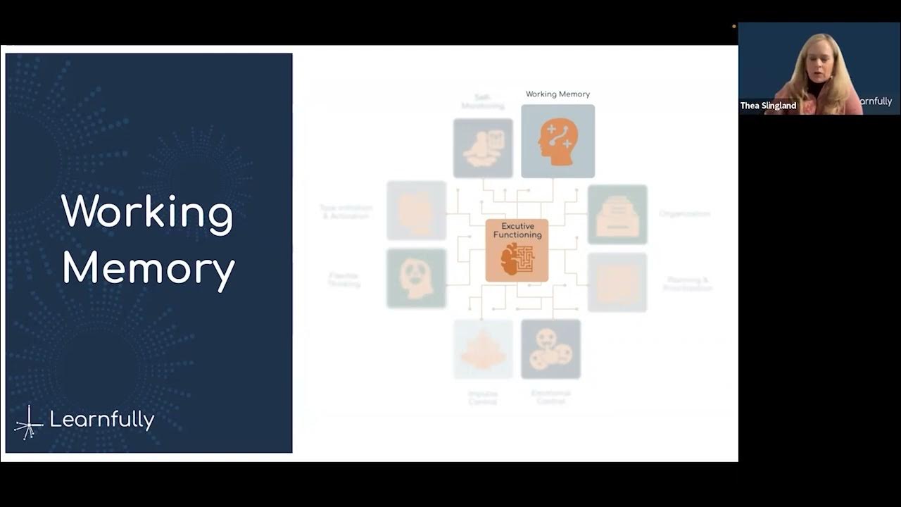 Working Memory - What is Working Memory? - YouTube