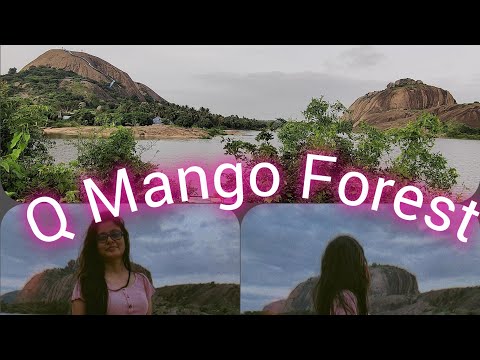 A short trip to Q Mango Forest || Bangalore || Whitefield to Ramnagar ...