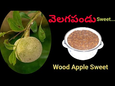 Wood Apple. | velaga pandu sweet. - YouTube