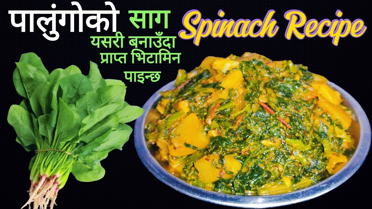 Palungo Ko Saag Recipe | पालुंगोको साग यसरी बनाउँदा प्राप्त भिटामिन ...