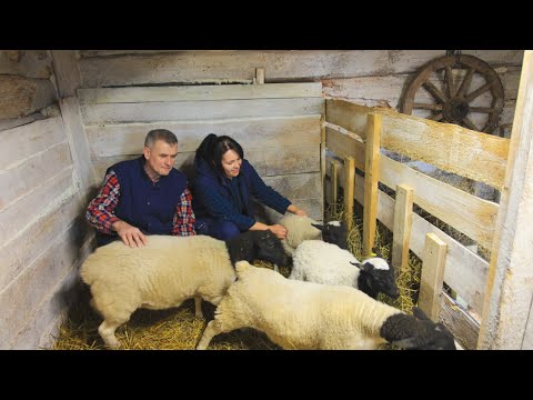 Zorlu bir kışın ve zorlu bir haftanın sonu. Uzak bir köyde aile hayatı.