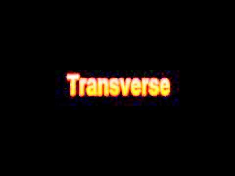What Is The Definition Of Transverse - YouTube
