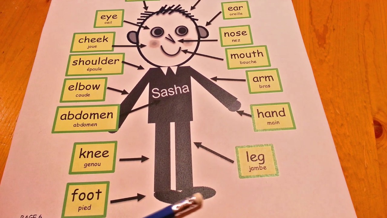 Let's Learn 15 Body Parts - YouTube