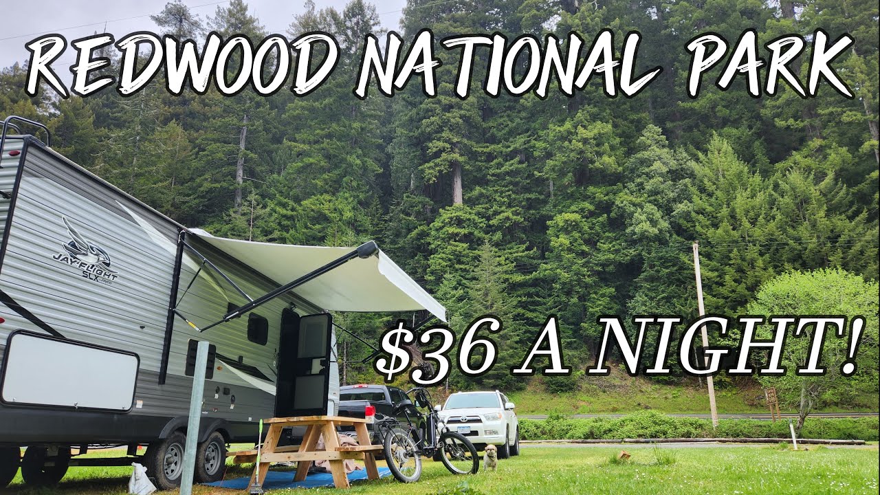HEART OF THE REDWOODS | RV LIVING - YouTube