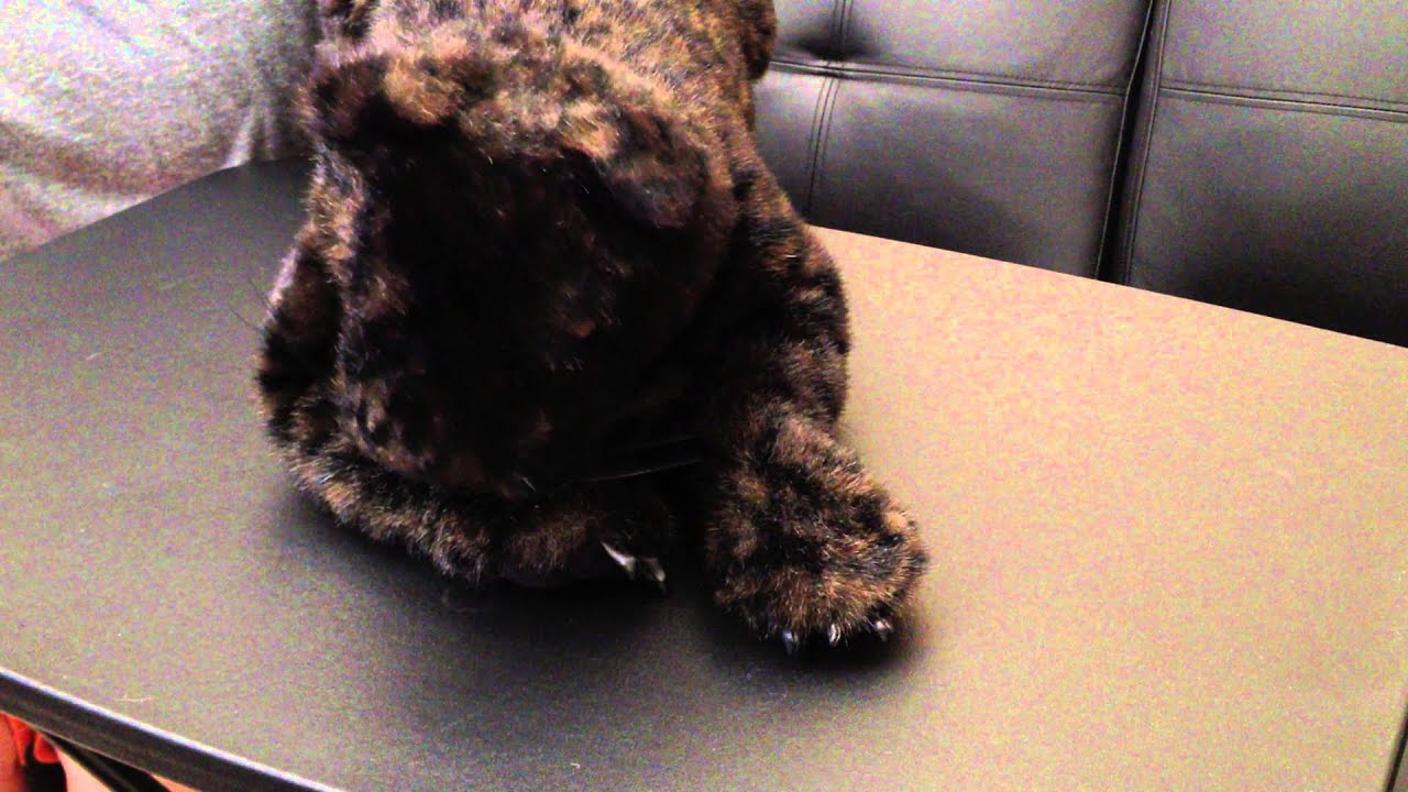 Folkmanis Hand Puppet Black Panther - YouTube