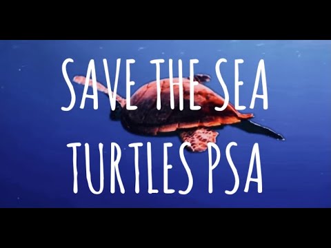 Save The Sea Turtles PSA - YouTube