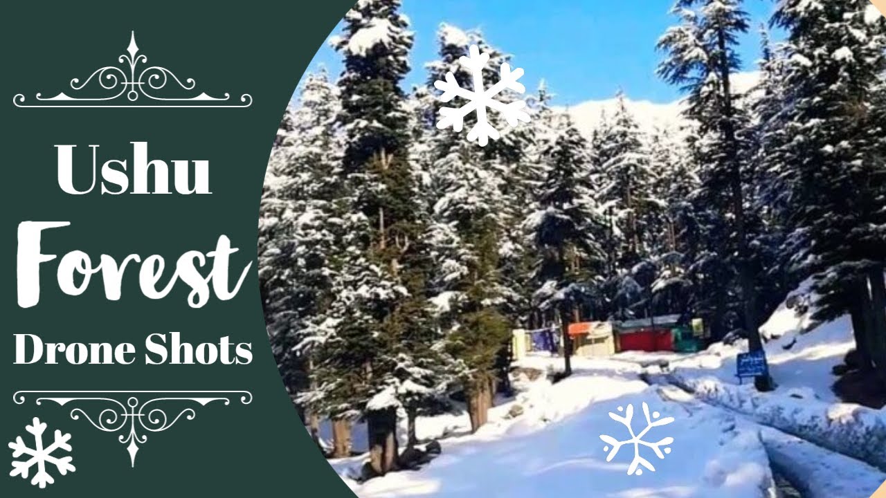 Ushu Forest Kalam | Aerial View | Ushu Forest Kalam in Winter | Ushu ...