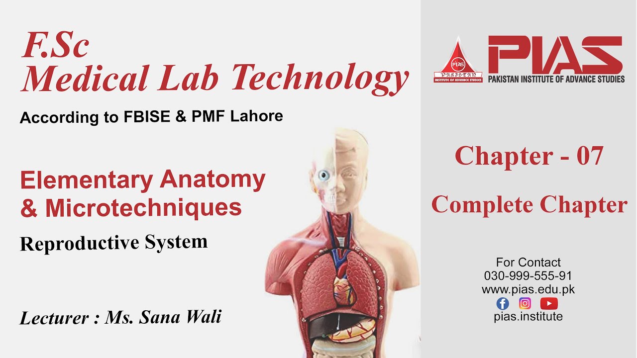 Reproductive System | Chapter 07 | Elementary Anatomy & Microtechniques ...