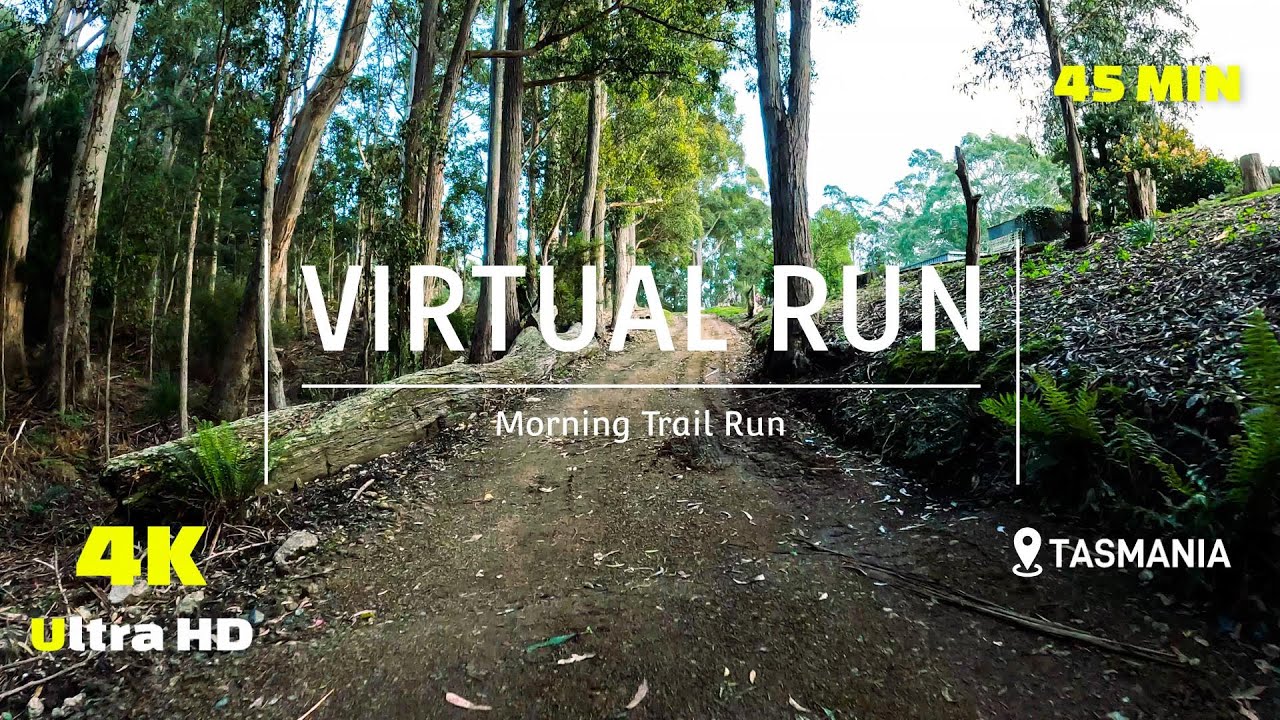 Virtual Run Mt Wellington / Kunanyi, Trail Run 4K - Treadmill Workout ...