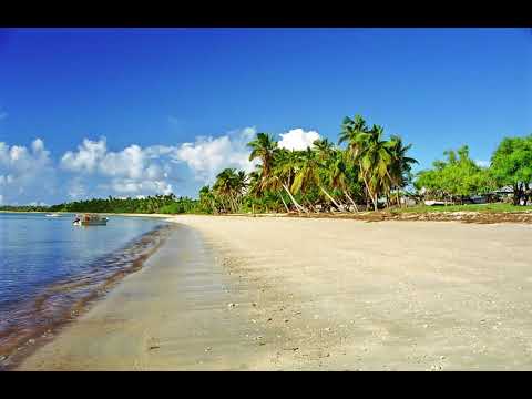 FUNGA'ONETAKA (NAVUTOKA) HUNI-'O-FONUAMALU - YouTube