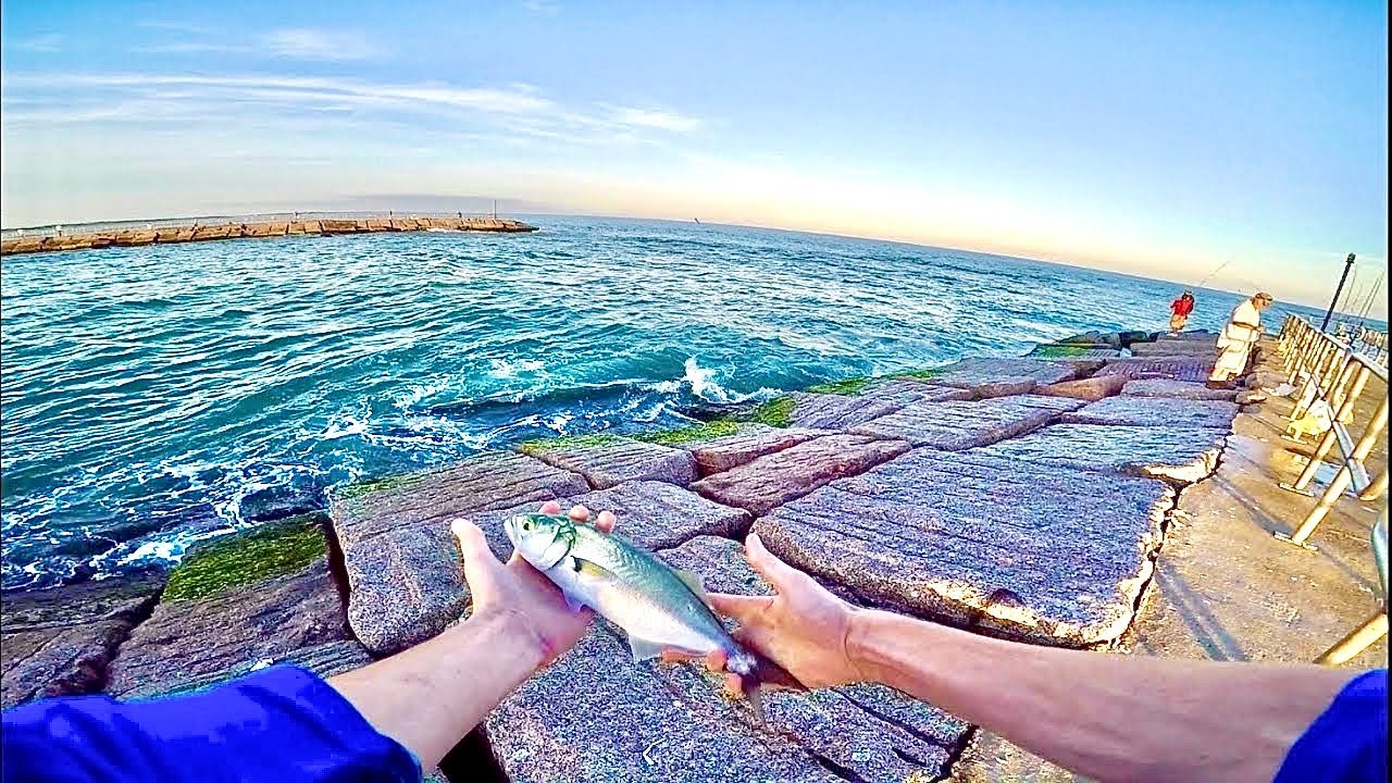 One Fish, Two Fish, Redfish, BLUEFISH | Fishing the Packery Jetty in Corpus Christi, Texas - YouTube