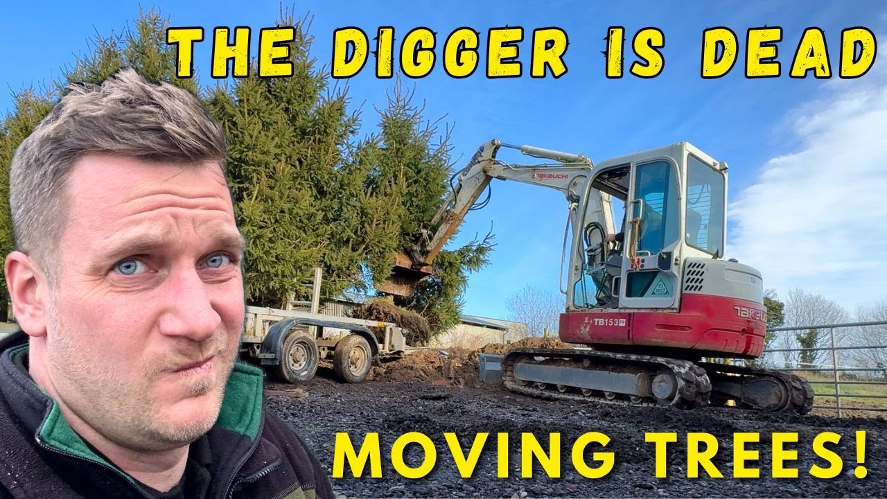 Transplanting Big Trees - The Digger Is DEAD! - YouTube