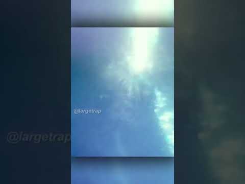 Monkey FLIP - Godzilla vs Kong | Godzilla vs. Kong | Know Your Meme